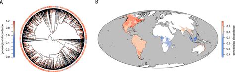 Variation In Levels Of Gene Tree Discordance A Gene Tree Discordance