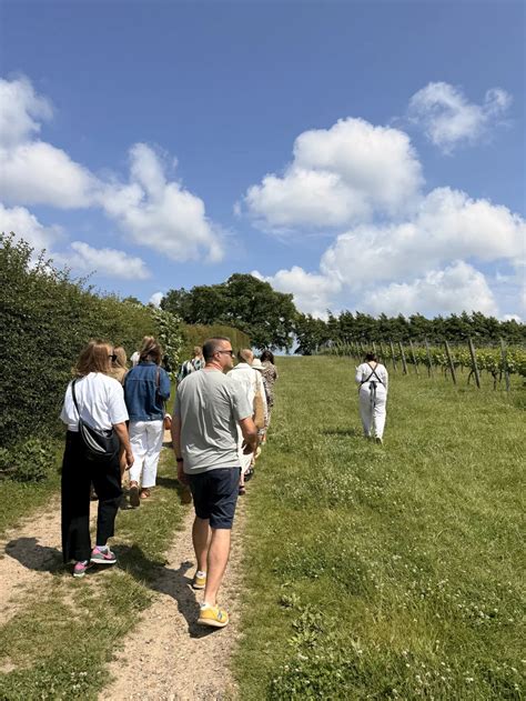 Albourne Estate Discover Taste Visit Today — Shuttle And Vine