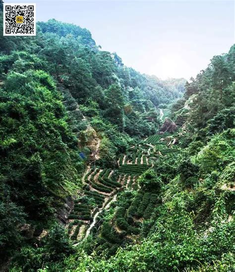 武夷山正岩山场 武夷山正岩山场详图 正岩 第10页 大山谷图库
