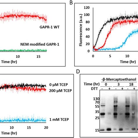 2 The Conversion Of 11 Cis Retinal To All Trans Retinal Induces A Download Scientific Diagram