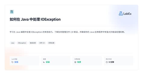 如何在 Java 中处理 Ioexception Labex