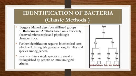 Introduction To Bacteriology Pdf