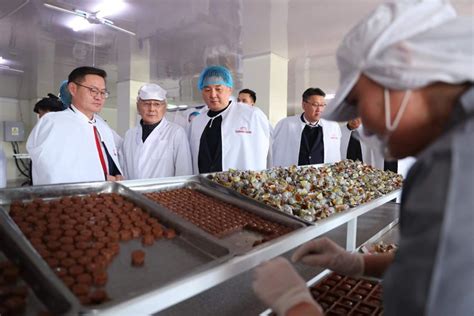 Ерөнхийлөгч У Хүрэлсүх үндэсний үйлдвэрлэгч аж ахуйн нэгжүүдэд ажиллаж байна