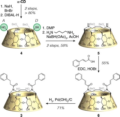 Precisely Designed Difunctionalized Cyclodextrin Produces A Solid‐state Organic Porous