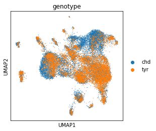 Graph Signal Processing