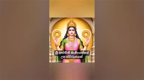 දොළොස් පත්තිනි මෑණිවරුන්ගේ පිහිටයි 🙏🙏🙏 Paththini Deviya Paththinimaniyo Paththini