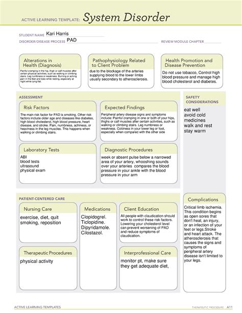 Ati Concept Map Template