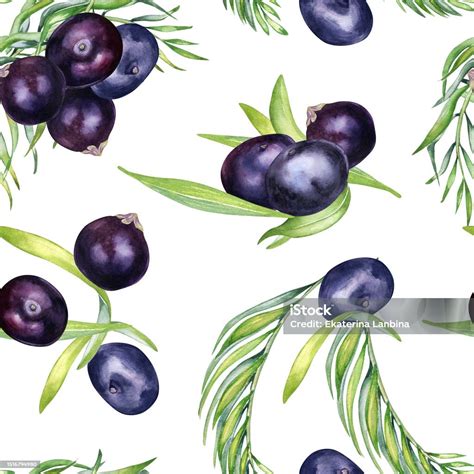 아사이 열매와 야자수는 흰색으로 분리된 수채화 이음매 없는 패턴을 남깁니다 이국적인 아마존 작은 보라색 열매 열대 과일 손으로 그렸습니다 포장 포장 섬유 배경 종이 디자인