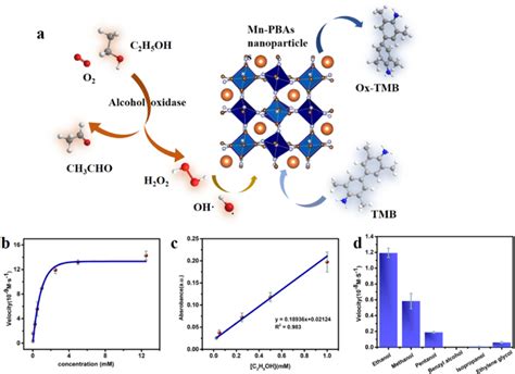 a schematic illustration of the catalytic detection of mn pba