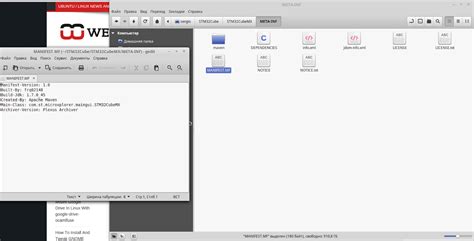 Блог Фаталиста Как запустить Stm32cubemx в ОС Linux Шаг 0