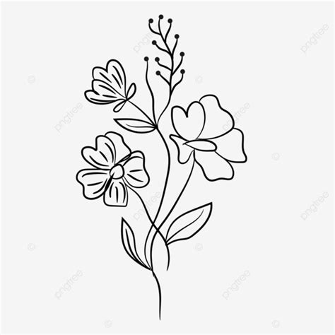 Flower Line Art Vector Flower Drawing Flower Sketch Flower Liner Png