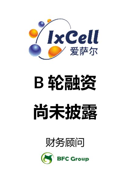 BFC GROUP