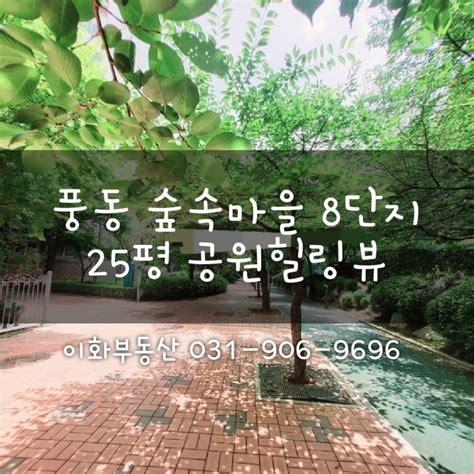 일산 풍동 숲속마을 8단지 25평 아파트 C타입 매매 이화부동산 031 906 9696 네이버 블로그