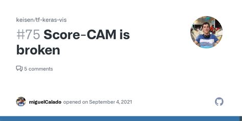 score cam is broken · issue 75 · keisen tf keras vis · github