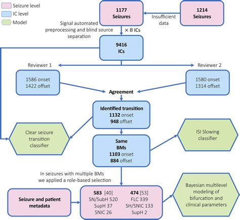 a new perspective in epileptic seizure classification applying the taxonomy of seizure