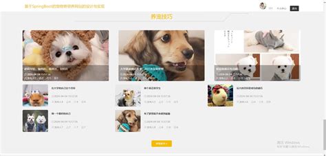 基于javaspringbootvue宠物寄领养网站源码lw调试文档讲解等宠物寄养平台宠物领养网站在线宠物寄养寻找宠物