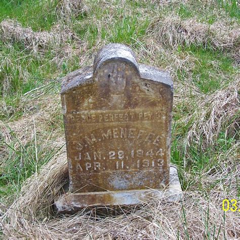 James Martin Menefee 1844 1913 Find A Grave Memorial