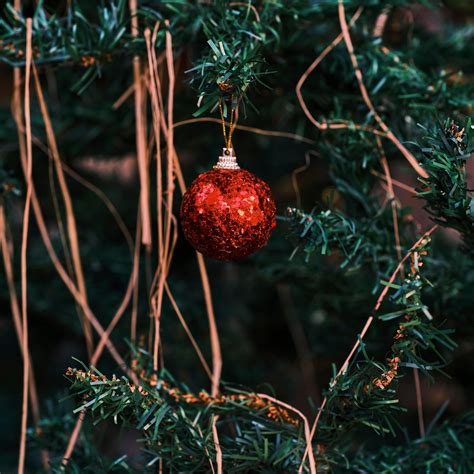 คริสต์มาส ต่างหูคริสมาสต์ ภาพฟรีบน Pixabay Pixabay