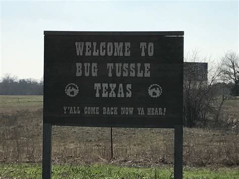 Busy Geemaw Bug Tussle Texas