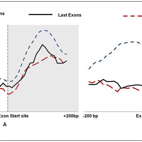 Average Methylation Density At The Intron Exon Intron Junctions Download Scientific Diagram