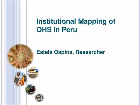 Institutional Mapping Of Ohs In Peru Wiego