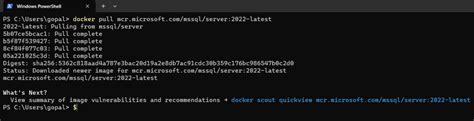 Sql Server Docker Installation Step By Step Guide For Windows Sqlrelease