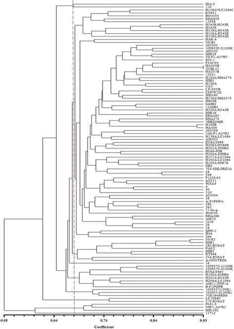 Upgma Dendrogram Based On Dice Similarities Calculated From Irap þ