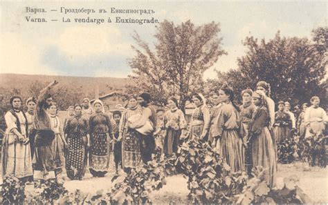 Лозарството и винарството във Варна ИнфоПорт