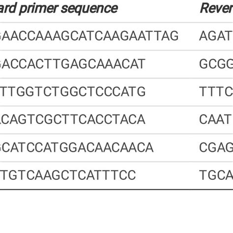 List Of Rt Qpcr Primer Sequences Download Scientific Diagram