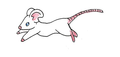 A Little Hand Drawn Mouse Running Animation I Made For Shigs Album On
