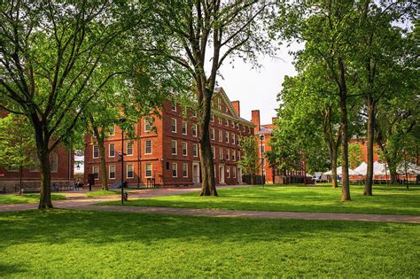 Harvard University Campus In Cambridge Massachusetts Photograph By