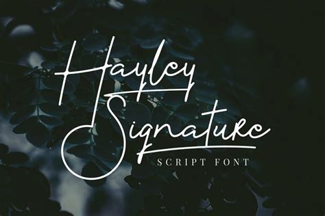 Hayley Signature Font Free Download Creativetacos