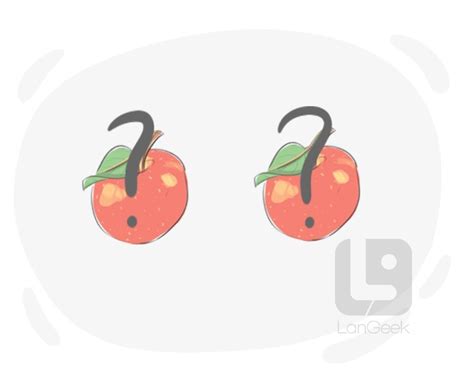 Definition And Meaning Of Either Langeek