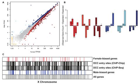 Genes With Overall Sex Differential Expression And Their Chromosome Download Scientific Diagram