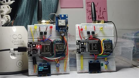Embeddedsystems Lora Iot Communicationsystems Esp32 Rakshamesh