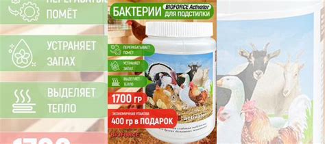 Зимняя ферментационная подстилка для кур и других купить в Москве ...