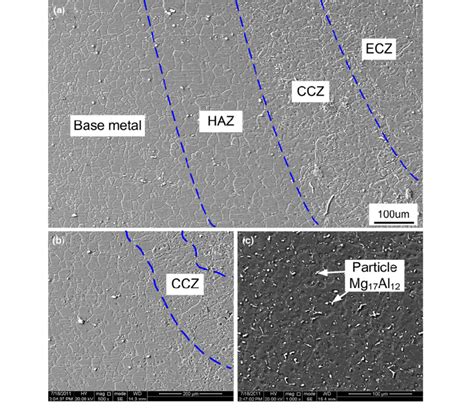 Microstructure At Fusion Welded Side Of Joint A Fusion Zone Near Mg Download Scientific