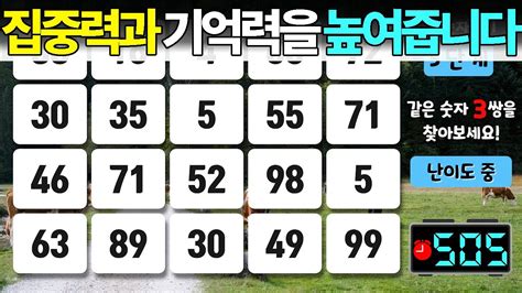 같은숫자찾기 집중력과 기억력을 높여줍니다 치매예방퀴즈 숫자찾기 같은숫자찾기 치매테스트 치매예방활동 숫자퀴즈 단어퀴즈 505 Youtube