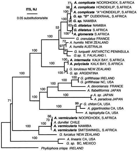 Its Tree Bootstrap Proportion Values 50 Are Shown Above The Download Scientific Diagram