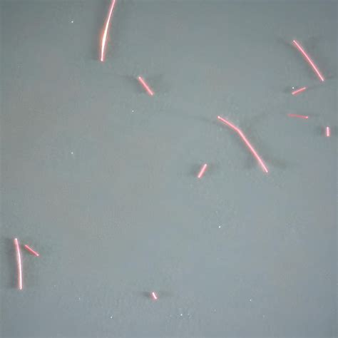 Microplastic Solution Analysis And Reference Materials