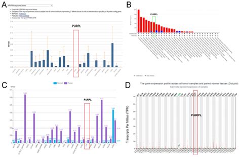expressions of purpl in different human tissues queried from biomedical
