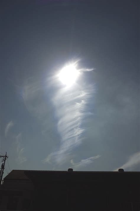 纏う 目で見る 心で見る