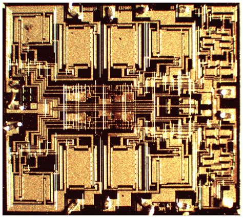 Tayloredge My Silicon Pictures