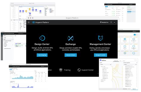 API Management API Platform MuleSoft