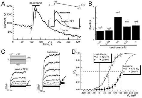 Halothane Activates A Heterologously Expressed Trpm8 Cold Receptor In