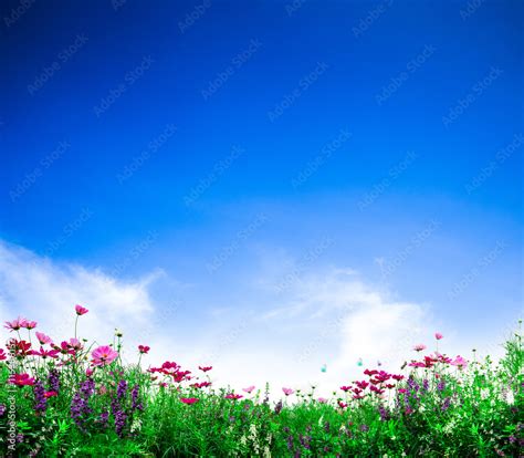 Real Flower Garden Background