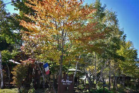 VinBlog 今年の紅葉を予想してみた