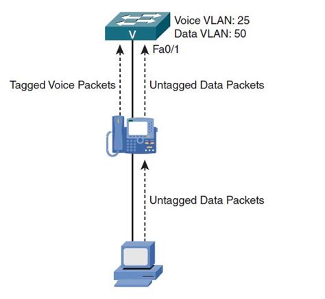 Cisco Vlans Voice Vlan Nedir Kaan Kilic
