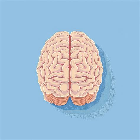Brain Aesthetic Images Free Photos Png Stickers Wallpapers