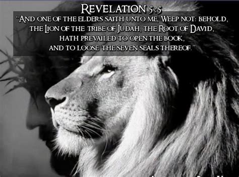Revelation‬ ‭55‬ ‭nkjv‬‬ But One Of The Elders Said To Me Do Not Weep Behold The Lion Of